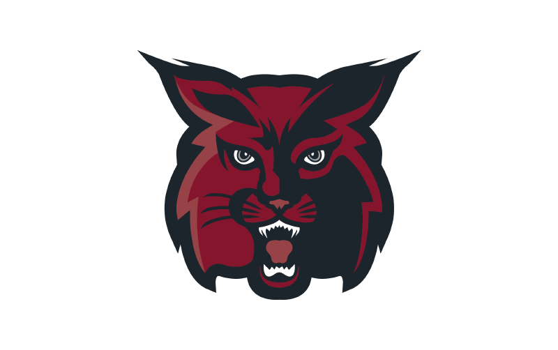 Wildcat iNews 9/14/20 - Oak Ridge High School