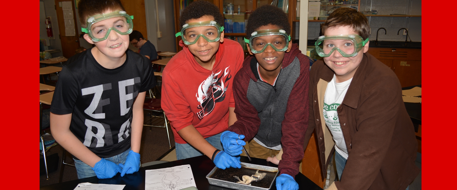 frog - Robertsville Middle School